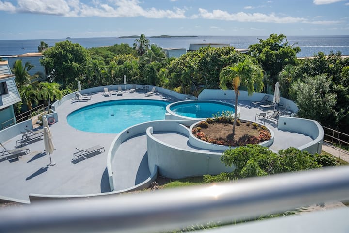 Sea You Soon Retreat- Ocean Views, Pool, Jeep - セント・トマス島