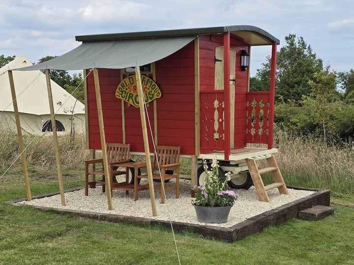 Restored Circus Wagon - Staithes