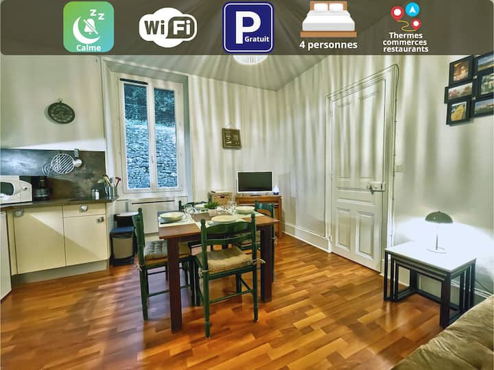 Thermes & Centre à Pied, Apt Calme + Parking/wifi - Vals-les-Bains