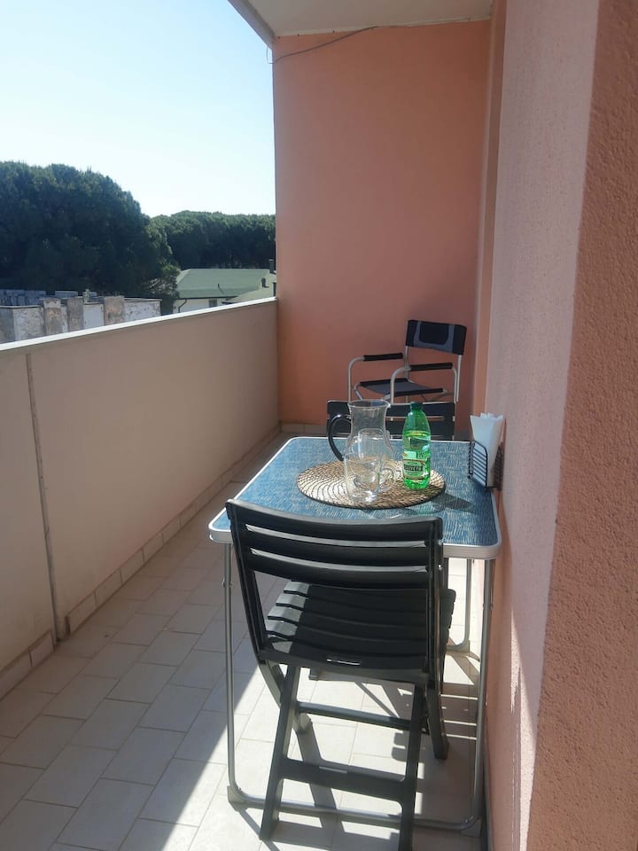 Appartement Confortable Avec Terrasse Au Bord De L - Rosolina Mare