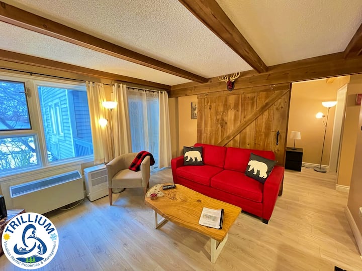 Rustic Studio @ North Creek Resort - Collingwood