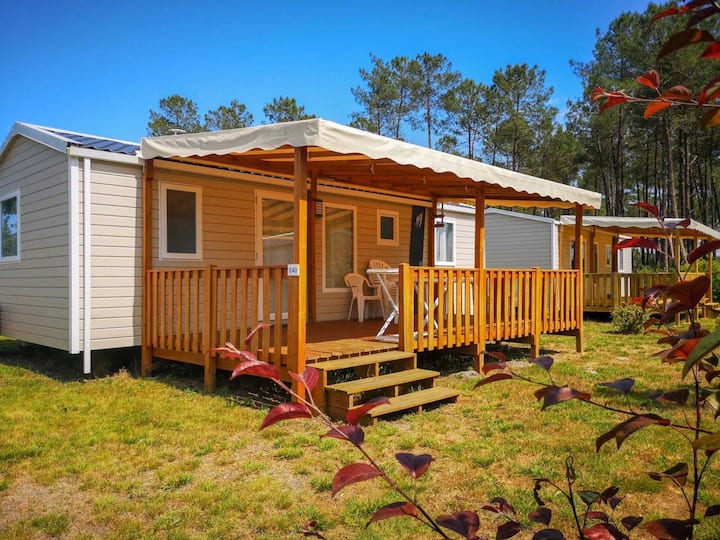 Zecamping 4* Mobil Home 39m² Piscine - Soustons