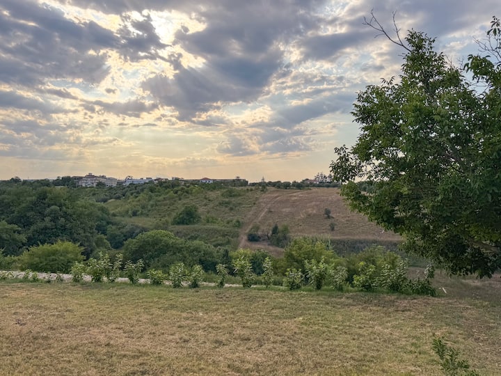 All'ombra Della Quercia - Ortona