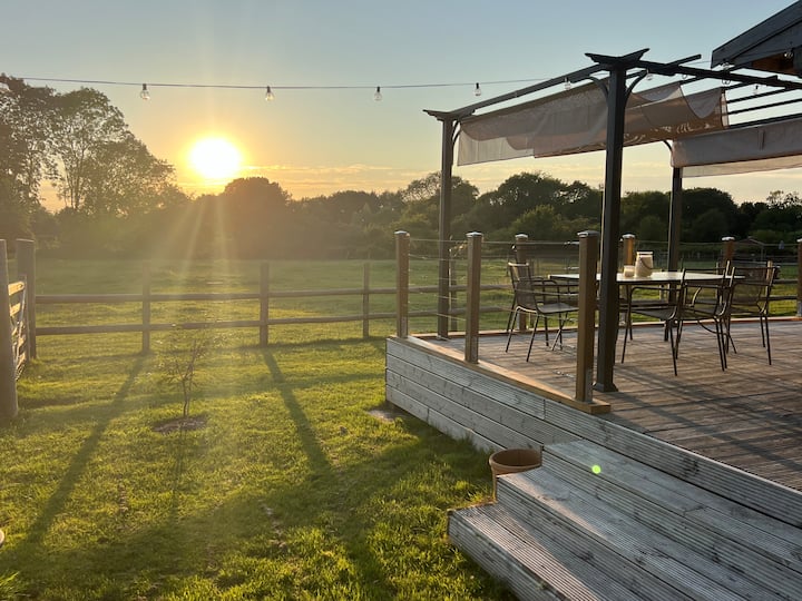 The Alpaca Cabin, West Sussex - Hampshire