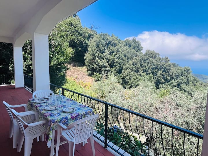 L'ortensia Del Poggio - Elba