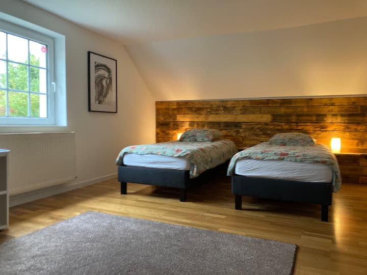 Maison Indépendante Rénovée Rien Que Pour Vous - Mulhouse