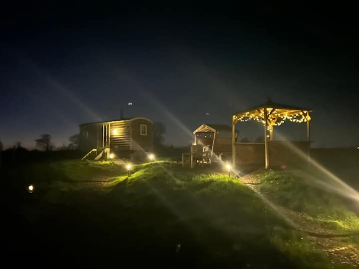 Cosy Devon Hut Woodland Views - United Kingdom