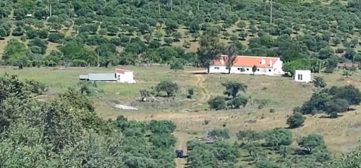 House Near Elvas On Olive Farm - Elvas