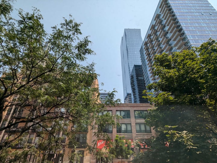 South Loop 4 Bedroom Apt - Chicago, IL