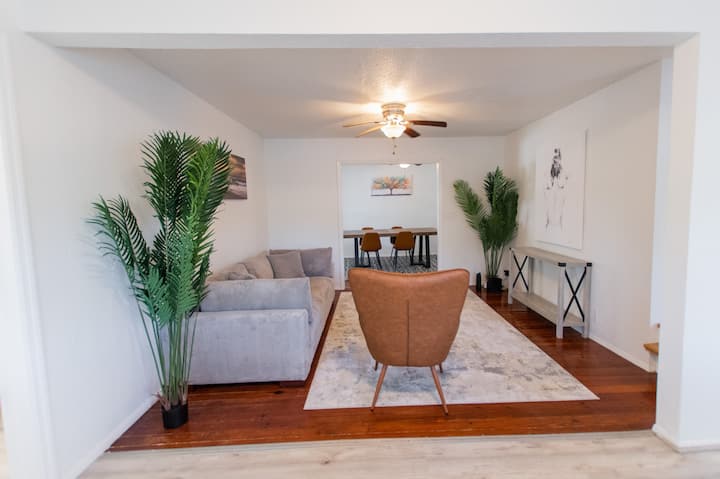 Room For Rent | The Cameron St Pete #2 - St. Petersburg, FL