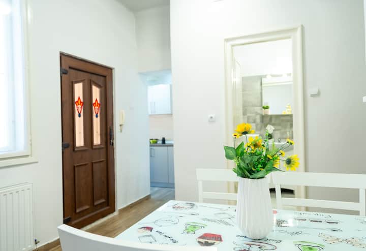 Joy City Stay Stylish Urban - Timișoara