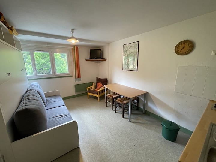 Studio Le Lioran, 1 Pièce, 4 Pers. - Murat