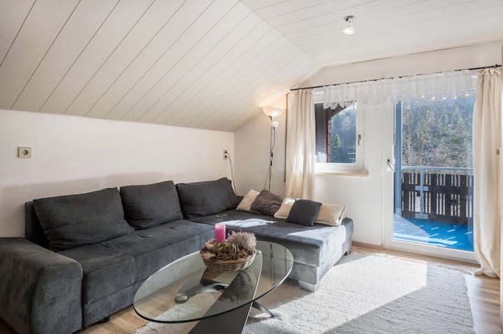 Ferienwohnung Panoramablick - Todtmoos