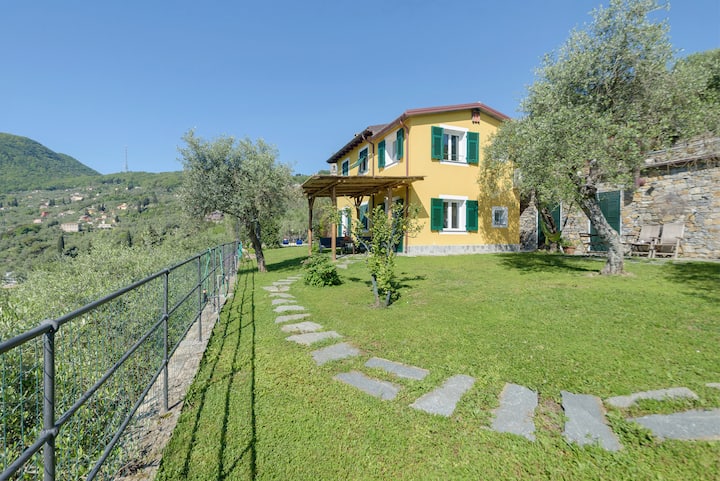 Verde - Portofino