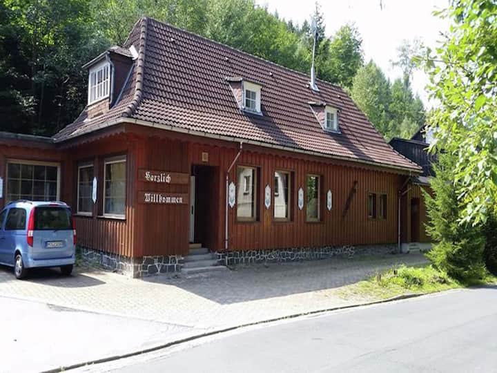 Appartement à Wildemann Dans Le Harzwald - Wildemann