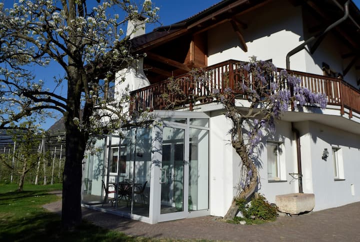Appartment Gut Wendlandt - Bolzano
