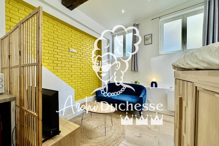 Sofia Studio Confortable En Rdc Au Coeur De La - Rouen