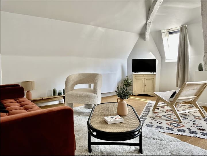 Eucalyptus - Centre De Reims - Cormontreuil