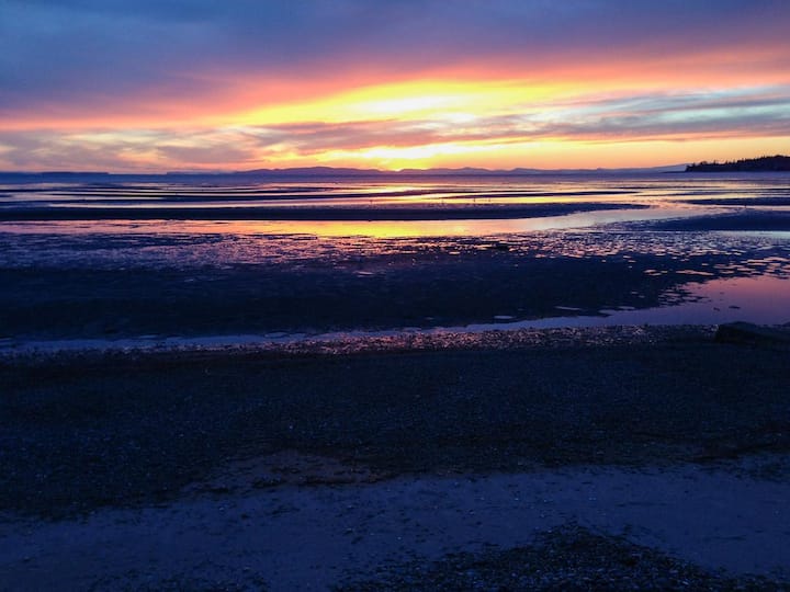 Close To Beach Bbh 7402 - White Rock