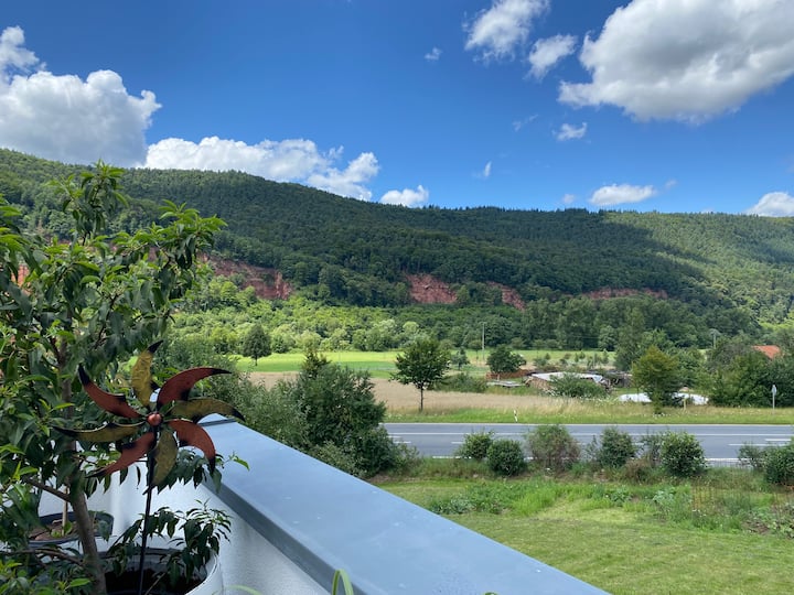 Ferienwohnung Weingut Sturm (Bürgstadt) - Miltenberg