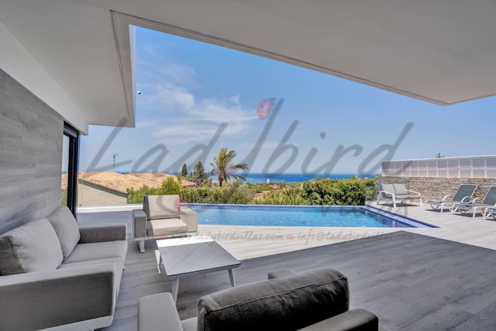 Villa Moderne Avec Piscine à Débordement - Denia