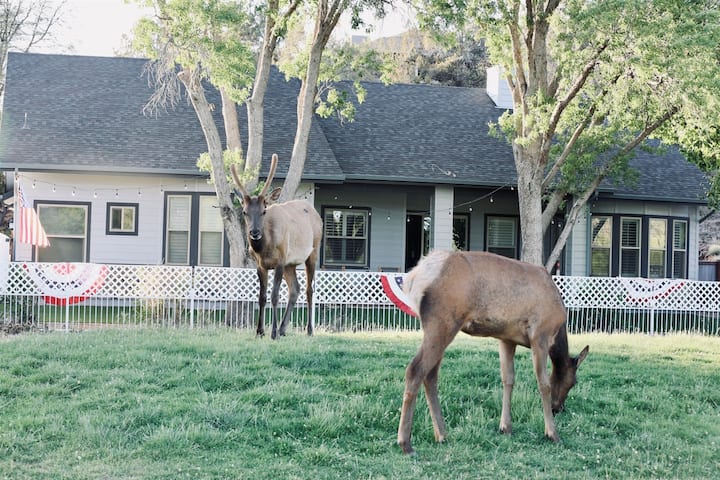 Golf Course Getaway~dual Masters~amazing Views - Payson, AZ