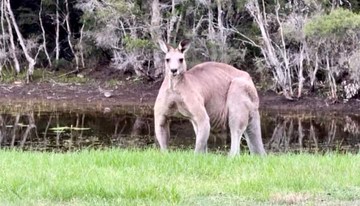 Big Fam 40 Ppl Entire Estate Farmstay All Together - Lochinvar