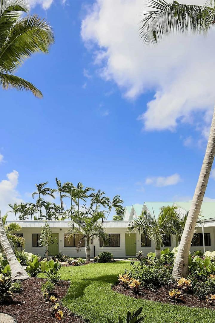 Discover The Coral Reefs With A Diving Adventure - Islamorada, FL