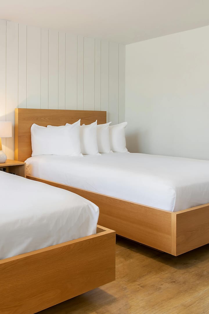 Discover The Coral Reefs With A Diving Adventure - Islamorada, FL