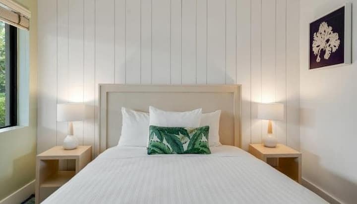 Swim With Dolphins & Sea Lions Nearby - Islamorada, FL