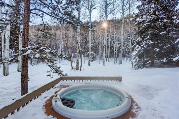 Cozy Aspen Home | Adventure & Relaxation | Hot Tub - Aspen, CO