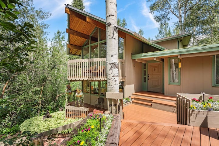 Cozy Aspen Home | Adventure & Relaxation | Hot Tub - Aspen, CO