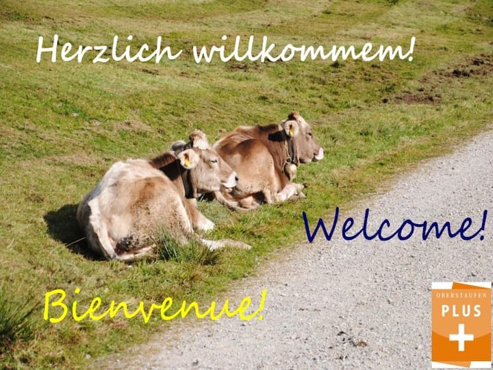 Appartement Bergfrieden Oberstaufen - Oberstaufen