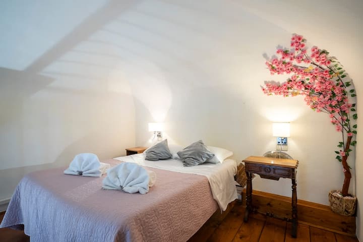 1 - Mono Silenzioso Vicino Al Centro - Florenz