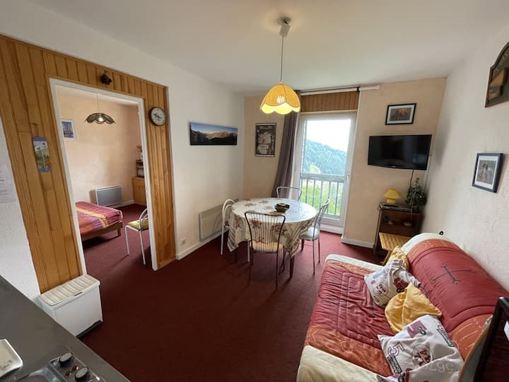 Studio Le Lioran, 2 Pièces, 6 Pers. - Le Lioran (Super Lioran)