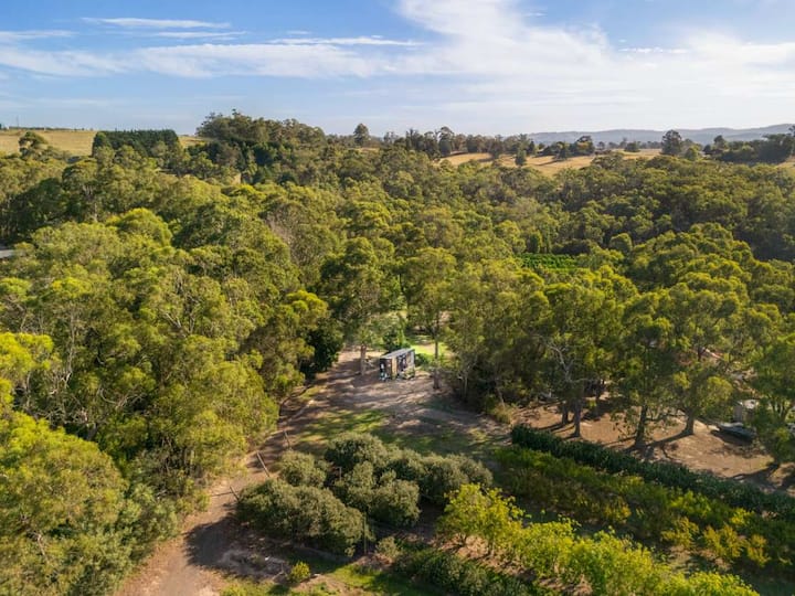 Orange 1 By Tiny Away - Seville