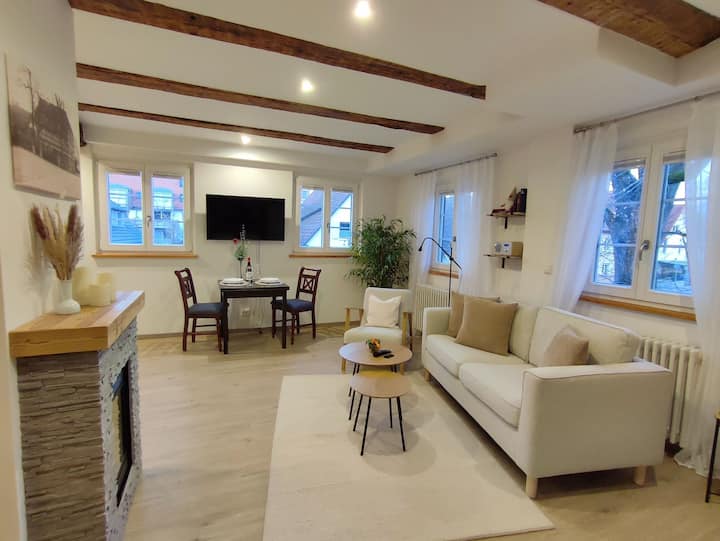 Double Room-king-ensuite - Friburgo in Brisgovia