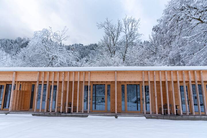 Ferienwohnung/app. Für 4 Gäste Mit 29m² In Dornbirn (265873) - Mellau