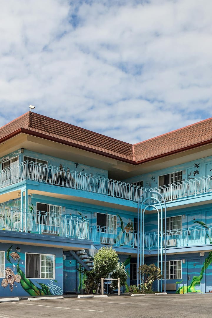 Don’t Miss The Historic Roller Coaster & Carousel - Santa Cruz, CA