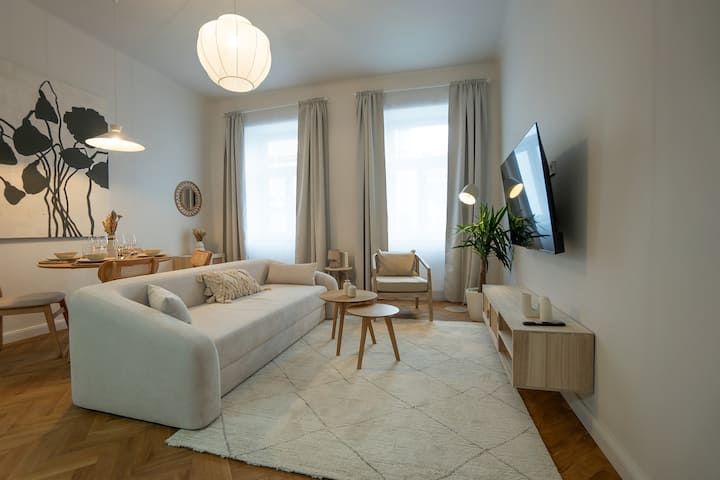 Spacious And Modern 1 Br Central Apartment - Viena