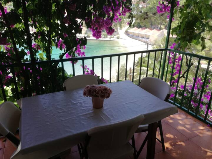 Appartement Rogač (89021-a2) - Maslinica