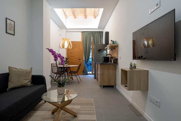 Loft With Large Terrace Near Center Ap5 - Valencia