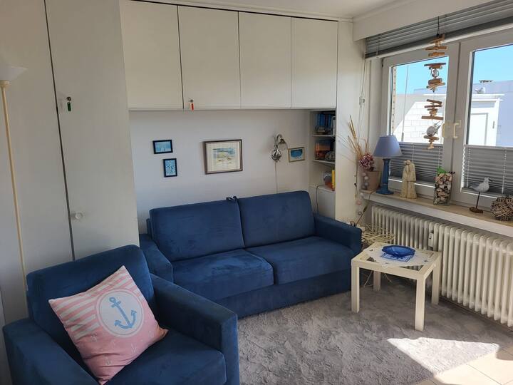 Kleine Auster - Norderney