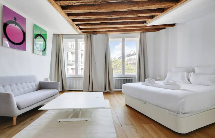 A Bright Studio In Saint Germain With Aircond - Paris