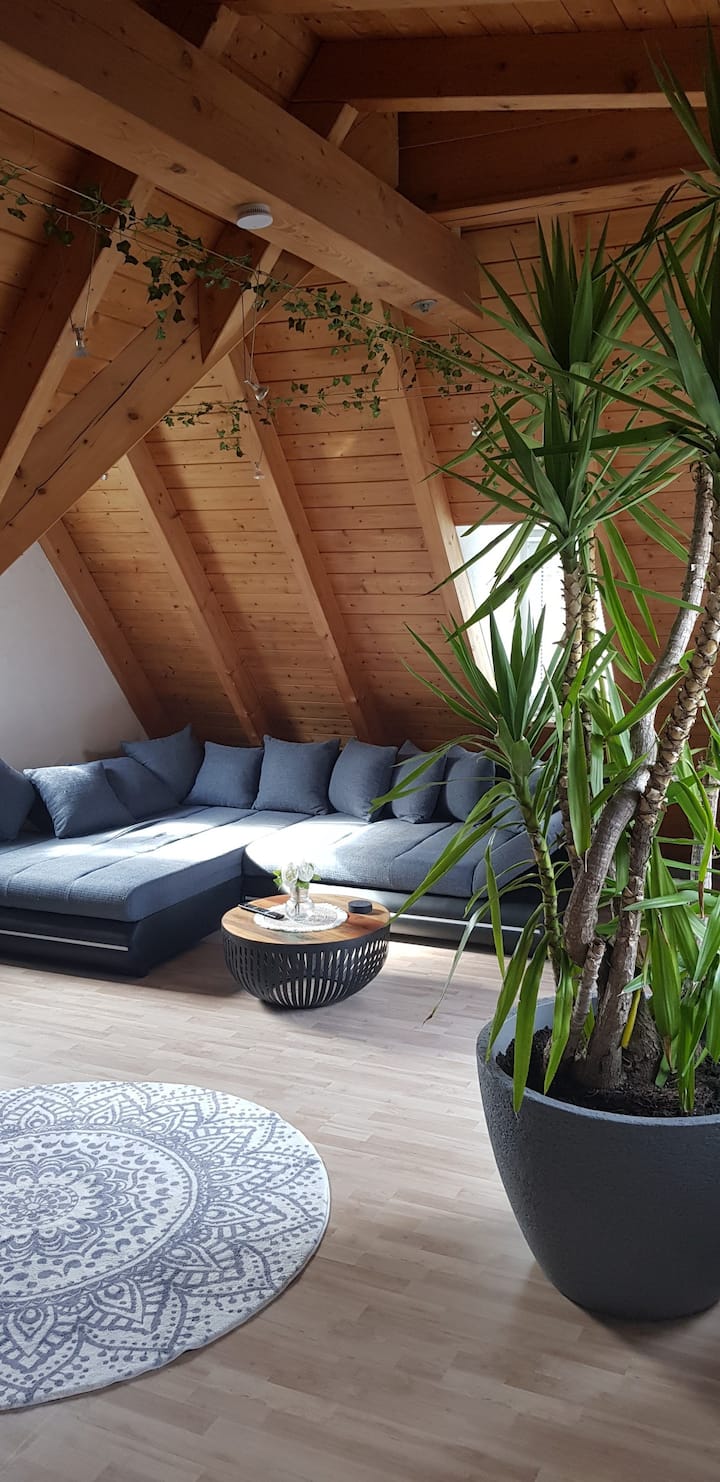Apartment Ronhof (98qm) Mit Zwei Schlafzimmern - Nuremberg