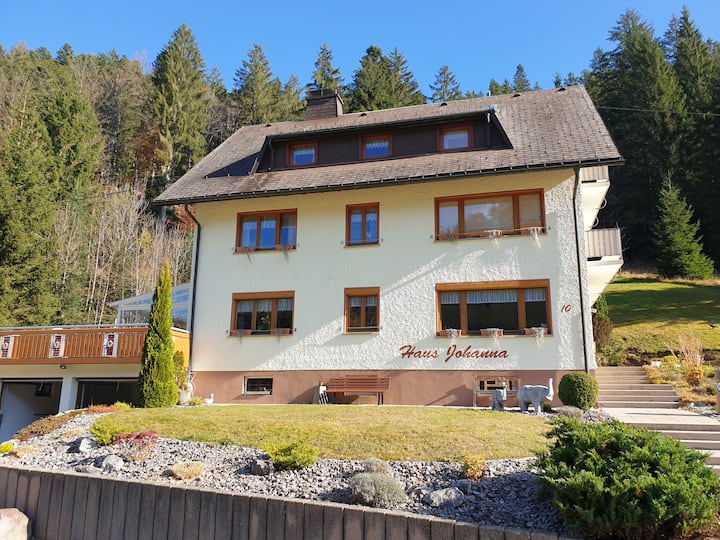 Haus Johanna - Todtmoos