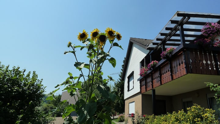 Blumenwiese (116856) - Grafenhausen