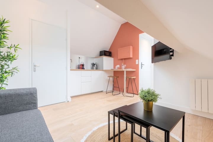 Lille Centre - Bel Appartement Sous Les Combles ! - Lambersart