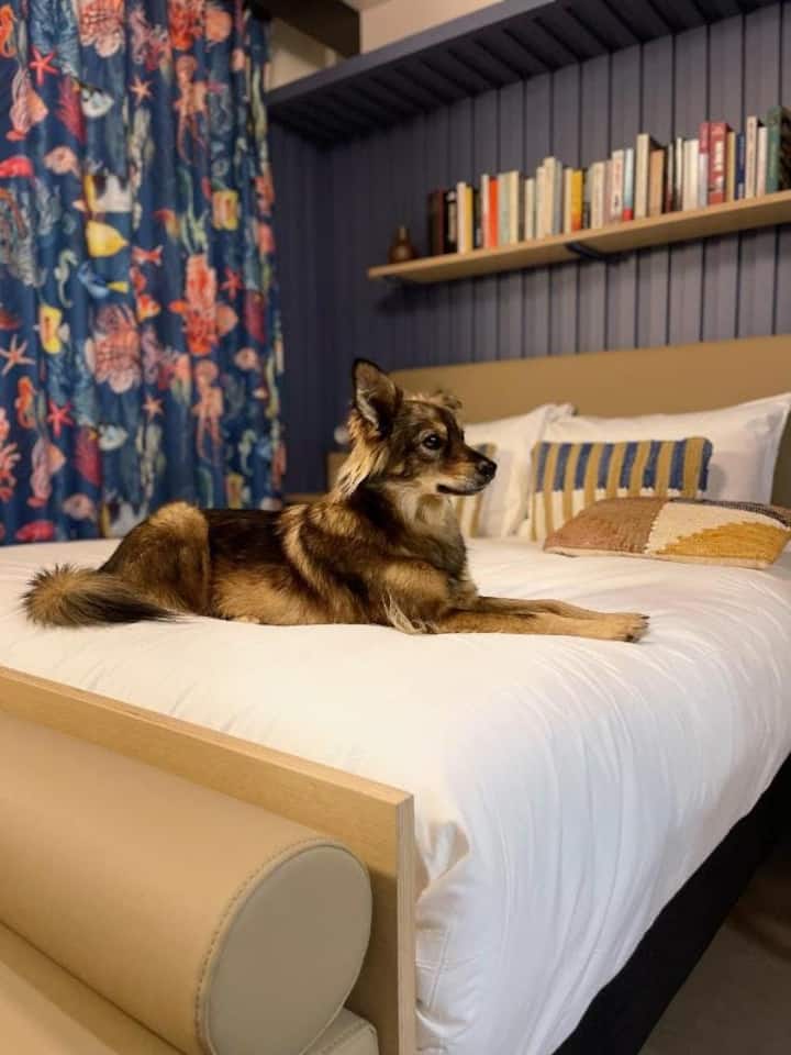 Jost Hotel Le Havre Gare - Oversize Room - Harfleur