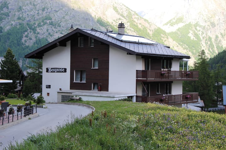 Bergrose | Saas-fee - Saas-Fee